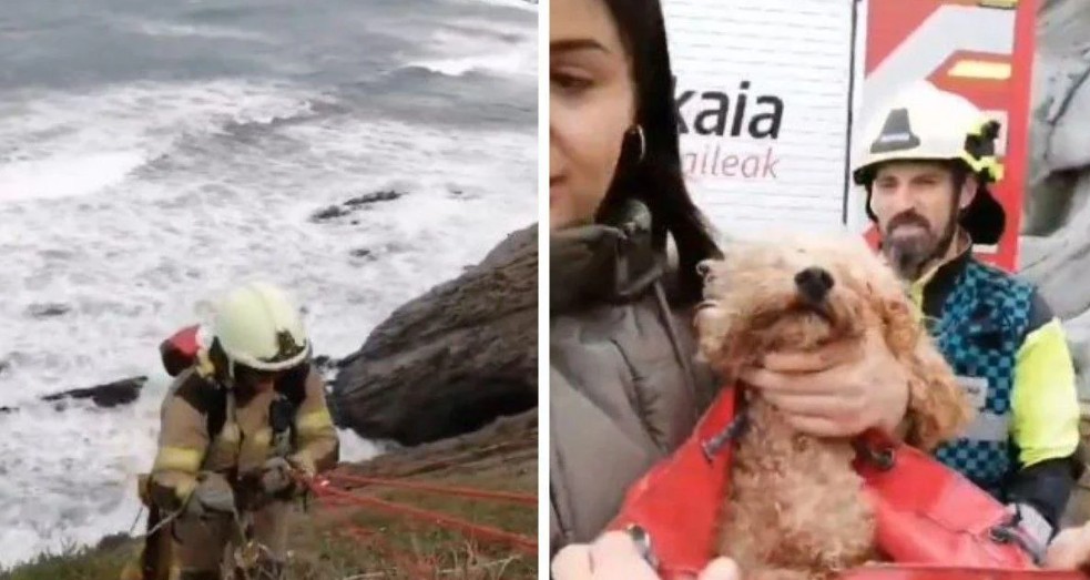 VÍDEO | “Fue un flechazo”: la tensa historia de Iki con Milo, el perro ...