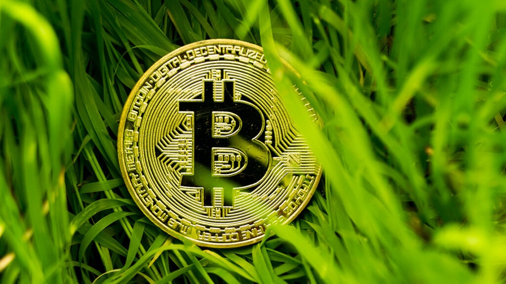 Tokens para hacer el bien: cuando ‘blockchain’ impulsa la sostenibilidad y genera impacto social ...