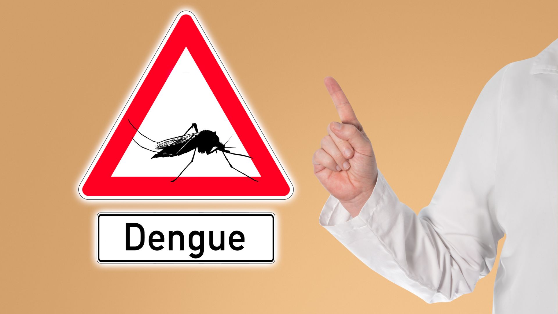 La OMS advierte: El dengue ya está en España y motivos para permanecer ...
